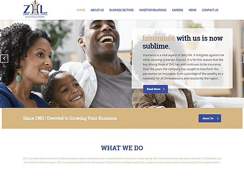 Web Entangled - Zimbabwe | Web Design & Development | Web Design ...
